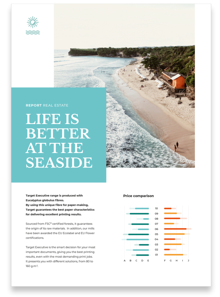 Executive 100 g.m-2 - Target Paper